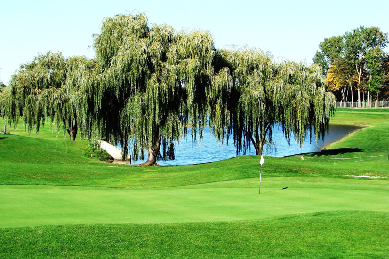 05/14/2018 – Golf Association of Michigan