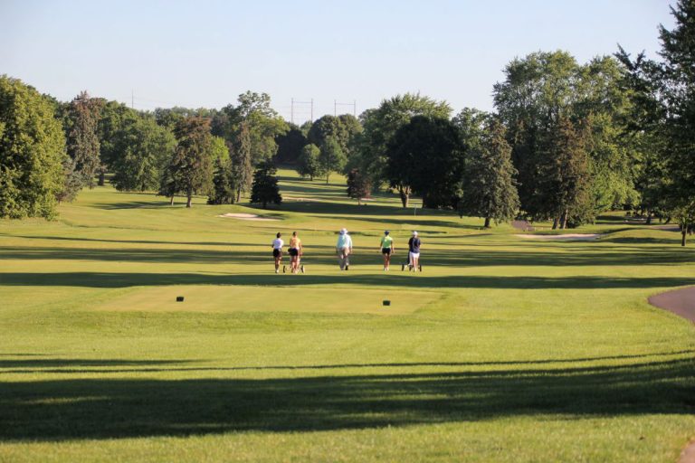 PLAY – Golf Association of Michigan
