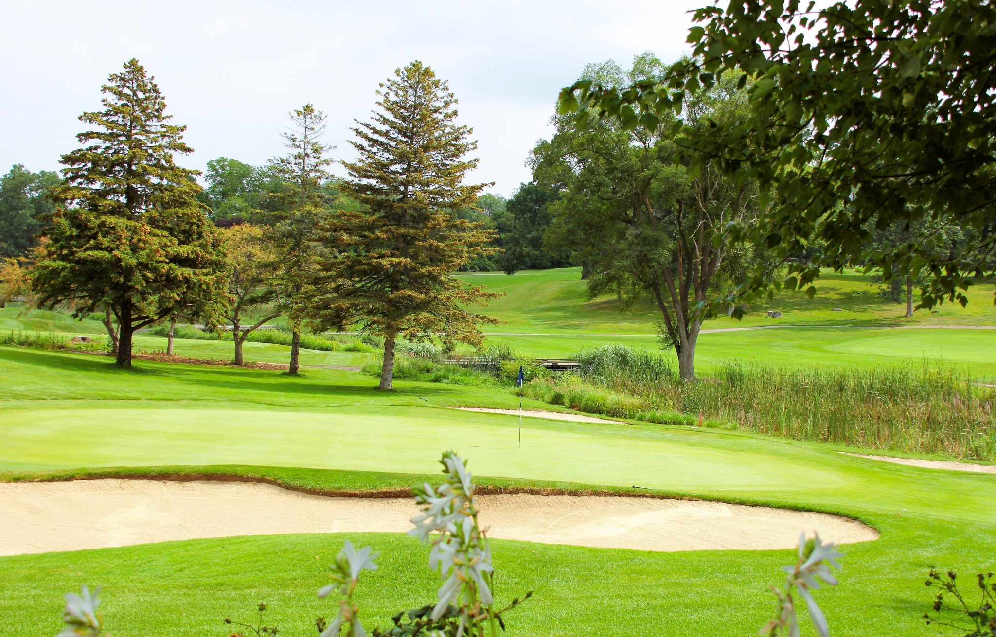 GAM DISTINGUISHED SERVICE AWARD: Golf Professional Dave Kendall – Golf ...