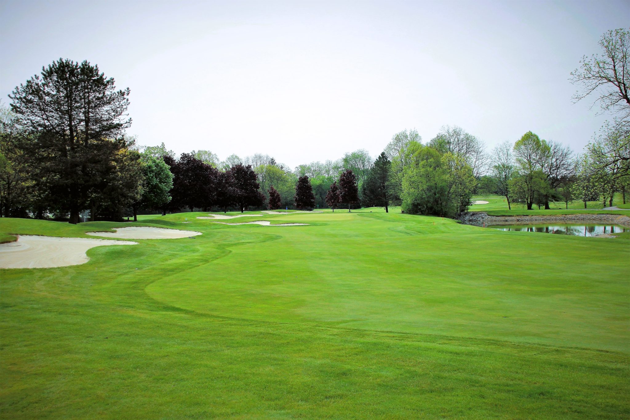 Tournament News – Golf Association of Michigan