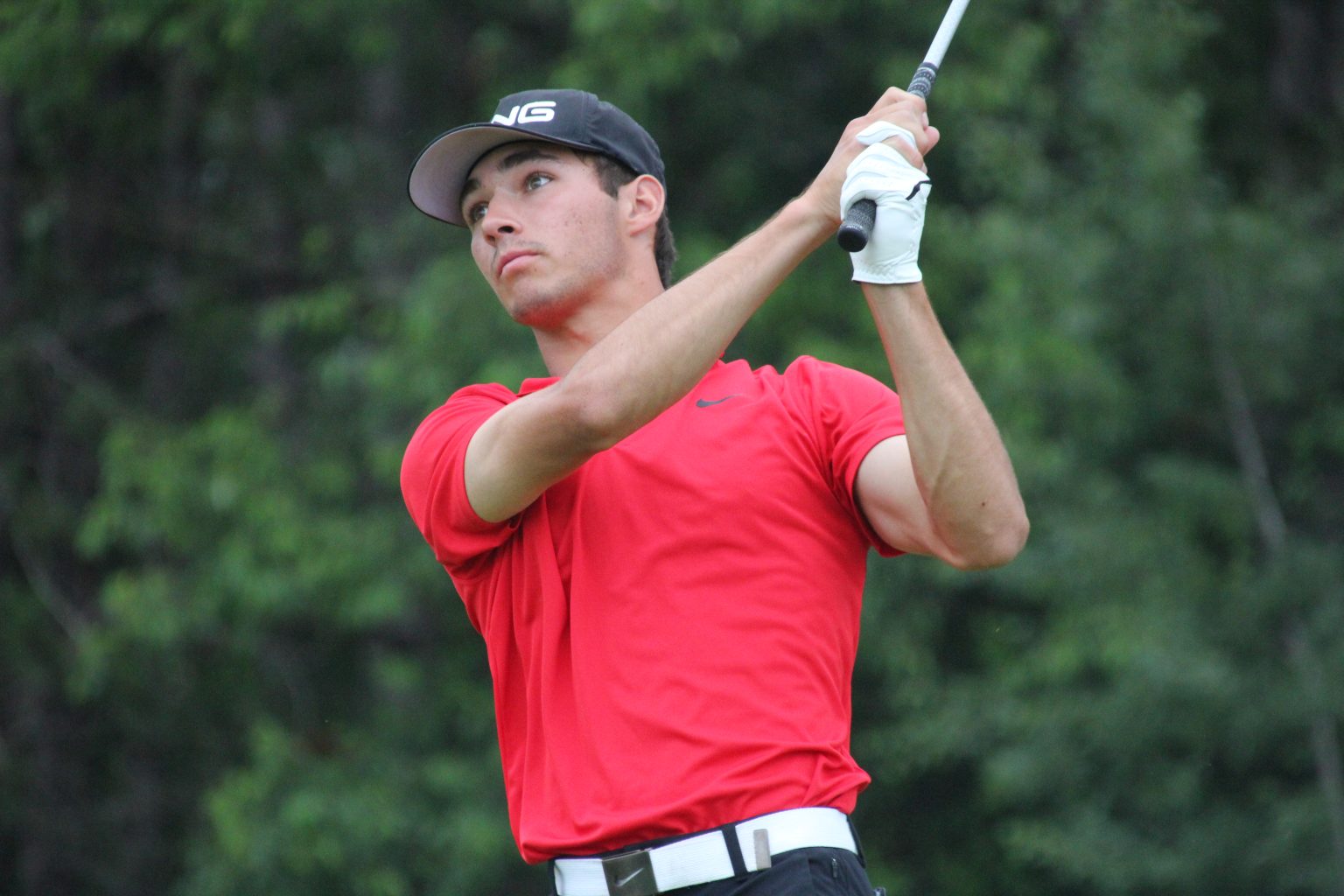 Golf Association of Michigan