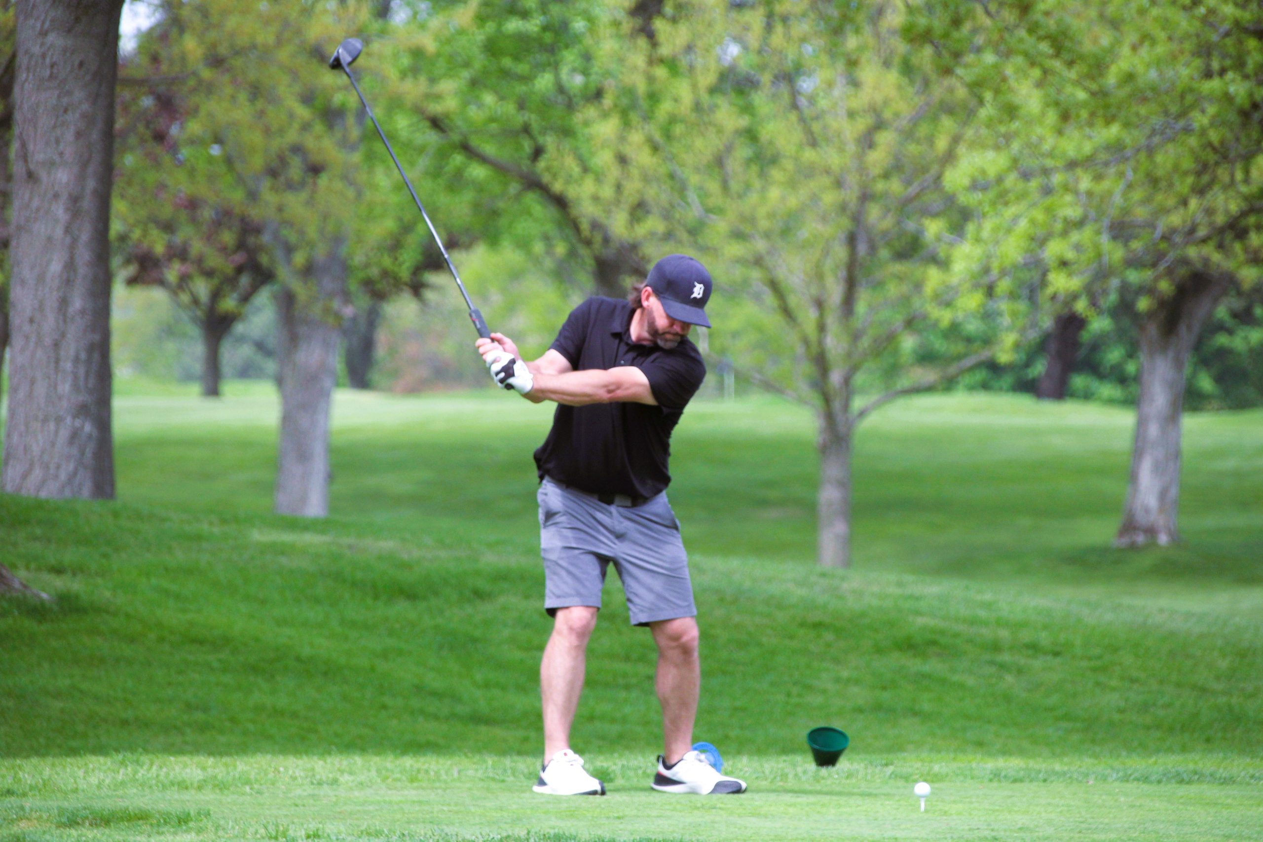 Senior Championships – Golf Association of Michigan