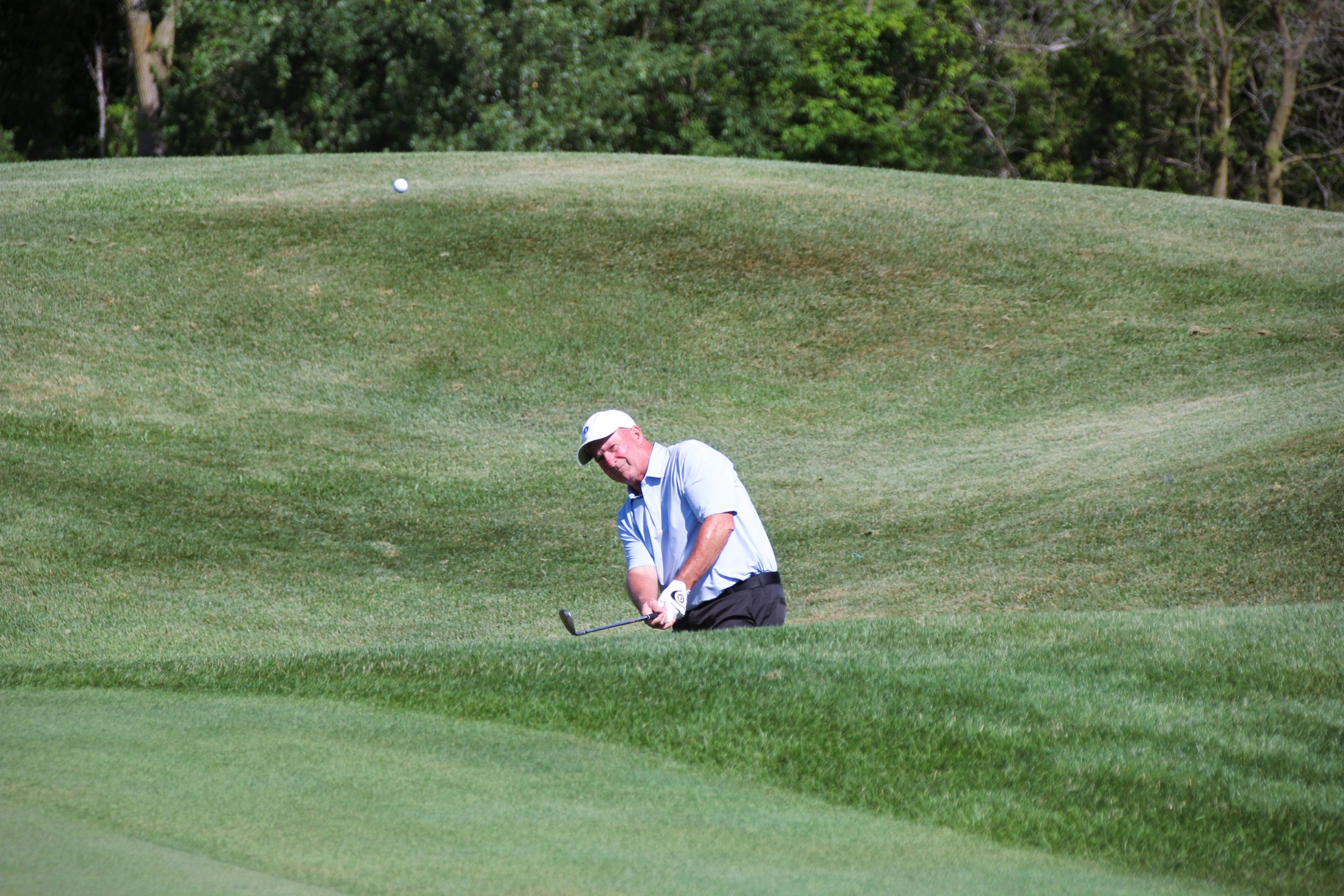 Senior Championships – Golf Association of Michigan