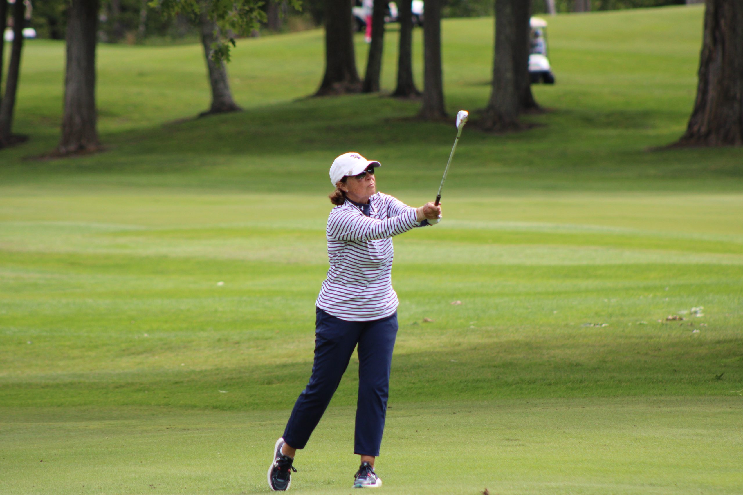 Senior Championships – Golf Association of Michigan